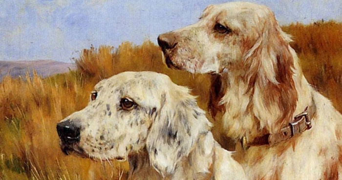 Từ ngày 15/1 dương lịch trở đi, 3 con giáp phát hỏa tâm tình, đã xui ...